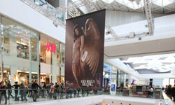 Mall Advertising in 150 Cities - Shopping Mall Ads Company